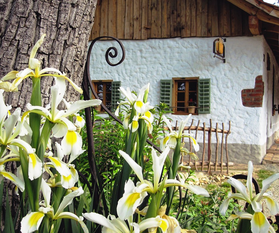 Apartments Džaboka & Gruška | Visit Pomurje | Expano