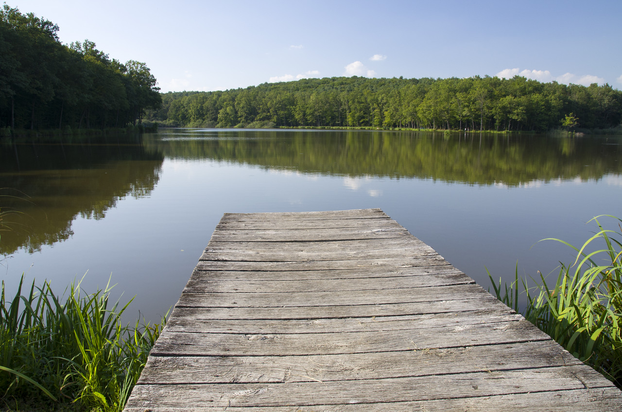 See Bukovniško jezero | Pomurje besuchen | Expano