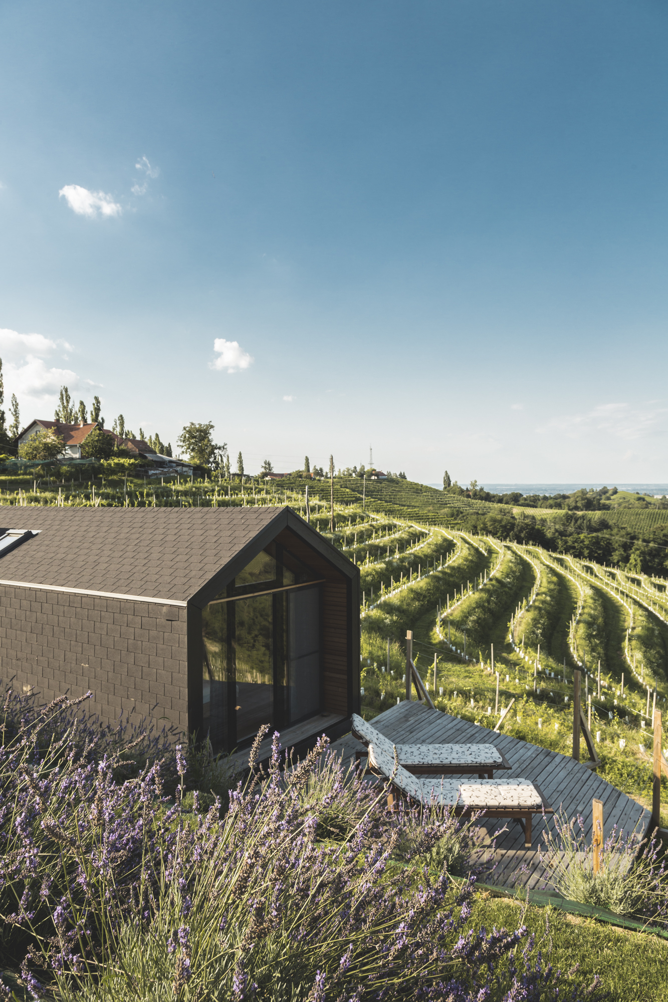 Apartmaji Terasse Jeruzalem | Obišči Pomurje | Expano